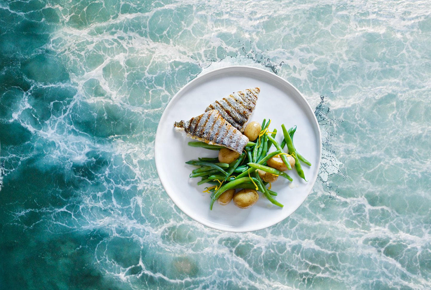 The Curated Plate Sunshine Coast Food Festival - Indulge Magazine